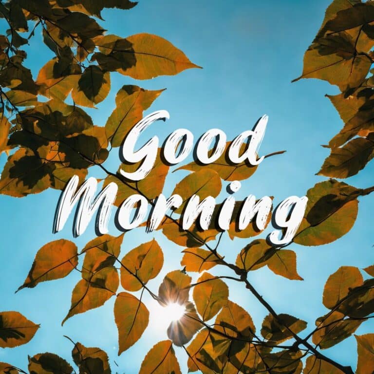 Good Morning, Images and GIFs - Good Wishes