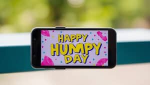 Happy Hump Day Wishes - Good Wishes